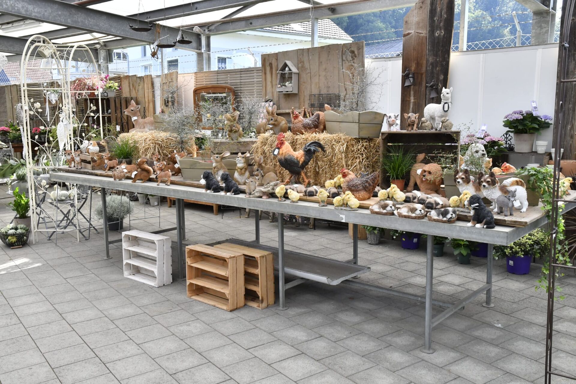 Saisonflor - Jakob-Markt mit Gartencenter in Zollbrück - Ihr ...
